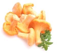 Bei Radi – Bei Radi restaurant